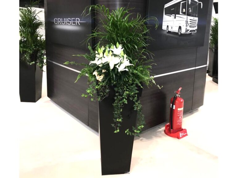 Container displays | Classic Plants